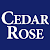 Cedar-Rose – Medium
