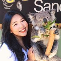 YuTing Cheng – Medium