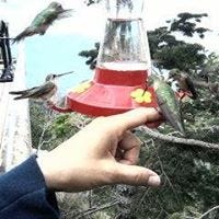 Paul Sery – Medium