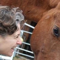 Susan Tenney – Medium