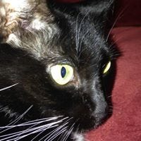 About – Peggy Peterson-Tierney – Medium
