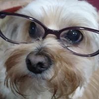 DeDe Johnson – Medium