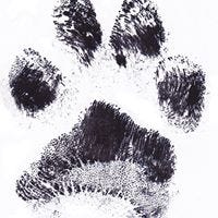 Lena Hamilton – Medium