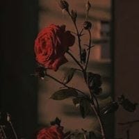Maissa Hammami – Medium