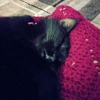 Jen Cleary – Medium