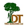 About – DT Tree Surgeons Ltd – Medium