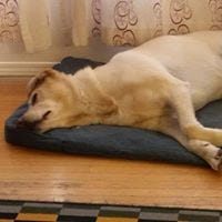 Ken Pollard – Medium