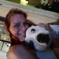 Alisha Taylor on Medium curated some lists