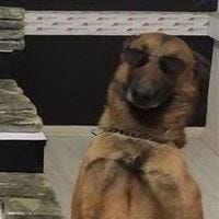 Arda Deniz Kara – Medium