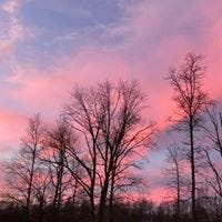 Jen Kaiser – Medium