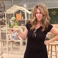 Melissa Cohn Bondy – Medium