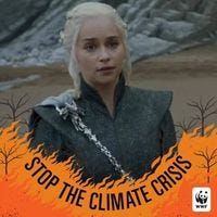 Kerry Baughman – Medium