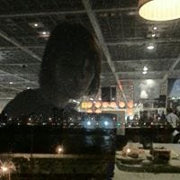 Amy Lin – Medium