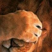 Derrick Richard Scott – Medium