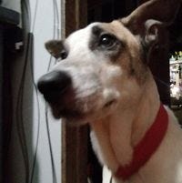 Kevin Eder on Medium curated some lists