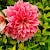 About – Thanusha – Medium