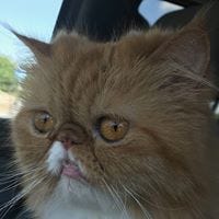 Barry Buchanan – Medium