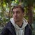 D Maksimov – Medium