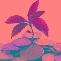 Nunaya Hananiya Bulama – Medium