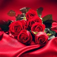 Raya Raya – Medium