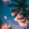Mark Lopes – Medium