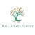 Dallas Tree Service – Medium