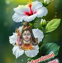 Priya Sundar – Medium