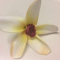 Anita Cohen – Medium