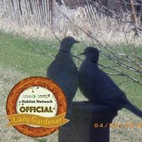 Cathy Kent – Medium