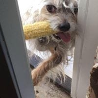 Timothy Lindley – Medium