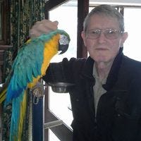 Waring Thomas Willis – Medium