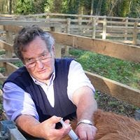 Tony Frith – Medium