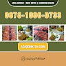 Jasa Catering Harian Blitar – Medium