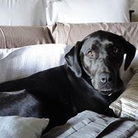 Nat Thompson – Medium