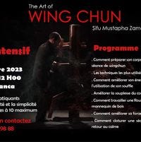 Sifu Zamane Wing Chun – Medium