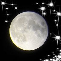 Lynn Erickson – Medium