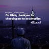 Muhammad Aleem – Medium