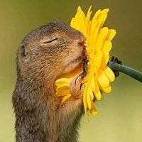 YIng Sz Chen – Medium