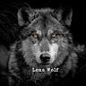Lone Wolf – Medium