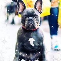 About – Isaiah Schuster – Medium