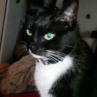 James Conlon – Medium