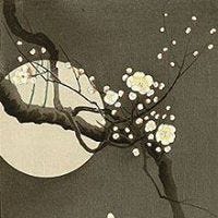 About – ChangWei Song – Medium