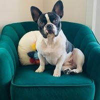 Kathy Allan – Medium