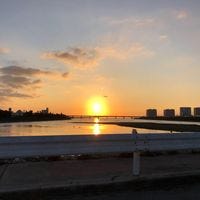 About – Joyce Chan – Medium