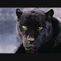 Kelvin Ukuejubola Oritsetimeyin – Medium