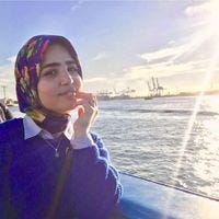 Noran M. Kamel on Medium curated some lists