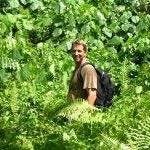 Phil Morrison – Medium