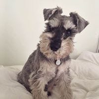 About – Mandy Jefferies – Medium