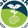 IES - Instituto de Educação Semear – Medium