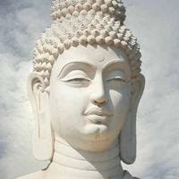 Mark Alan – Medium